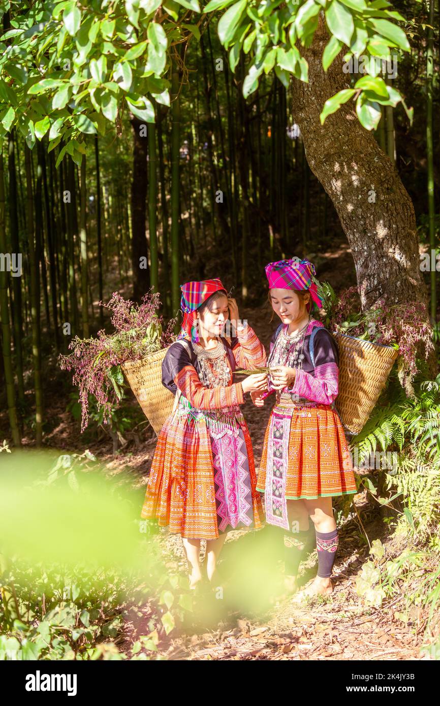 People H'mong ethnic minority with colorful costume dress walking in ...