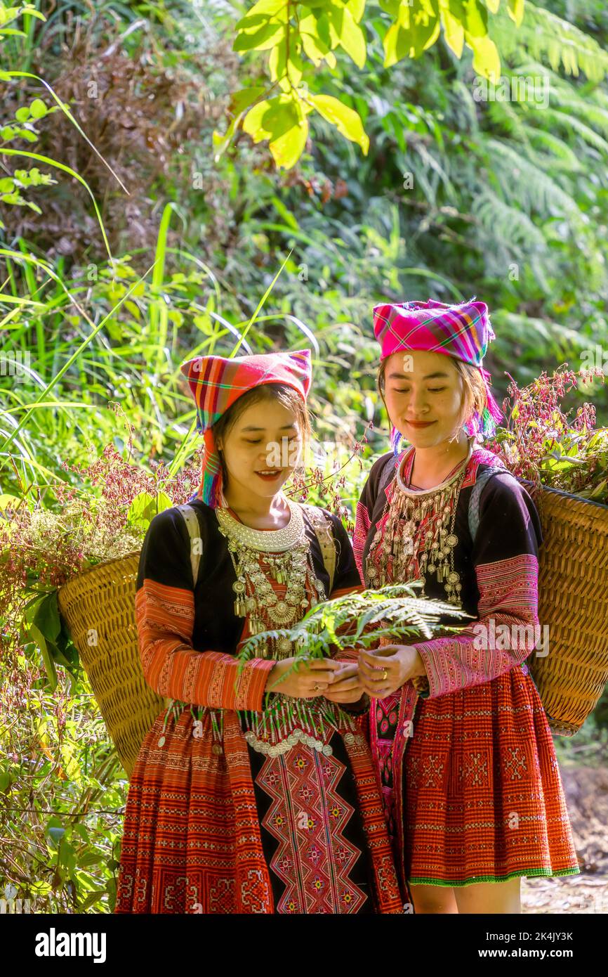 People H'mong ethnic minority with colorful costume dress walking in ...