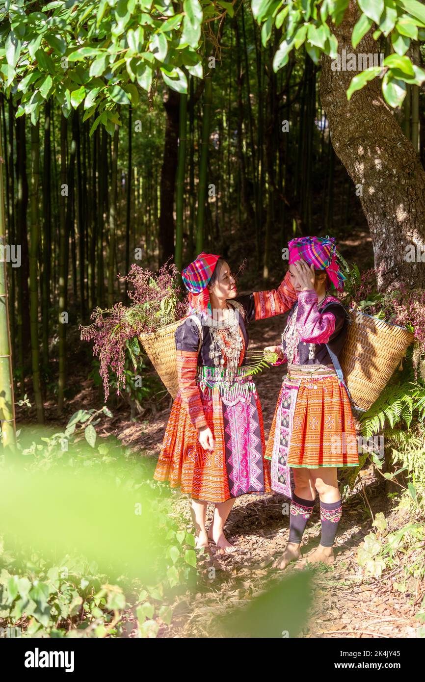 People H'mong ethnic minority with colorful costume dress walking in ...