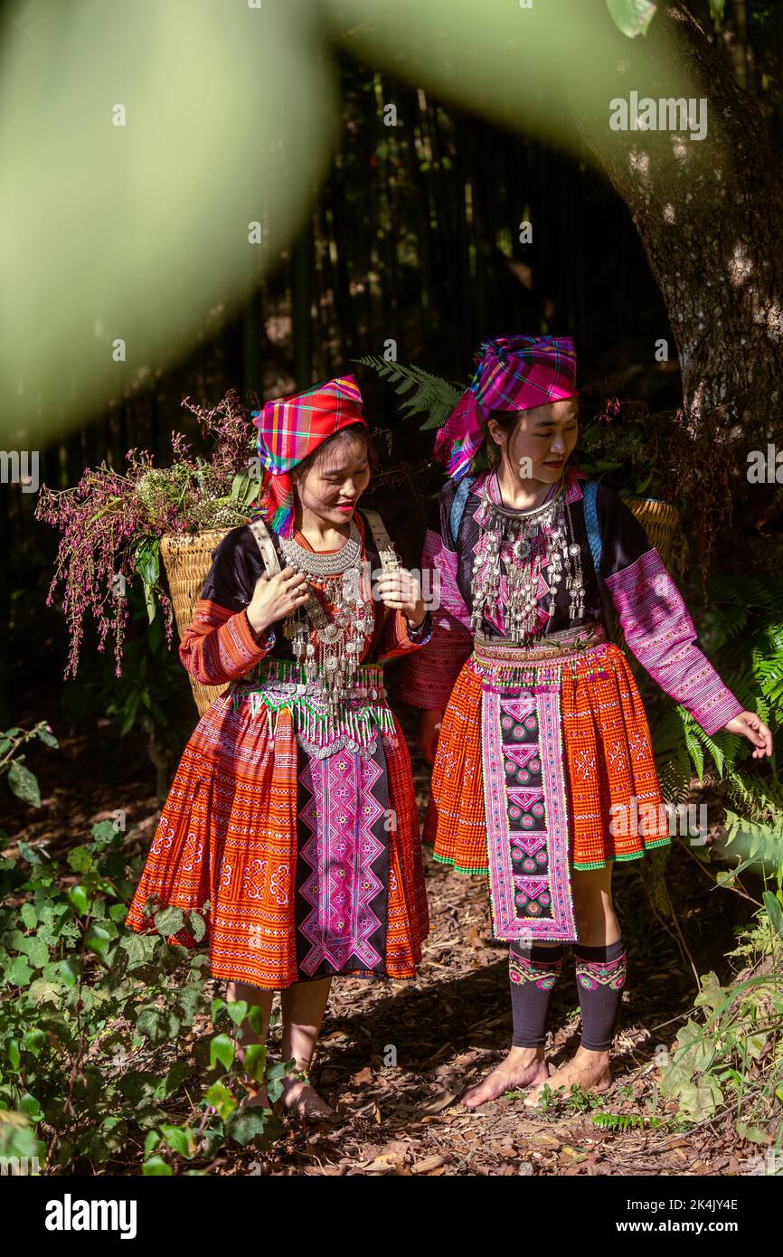 People H'mong ethnic minority with colorful costume dress walking in ...