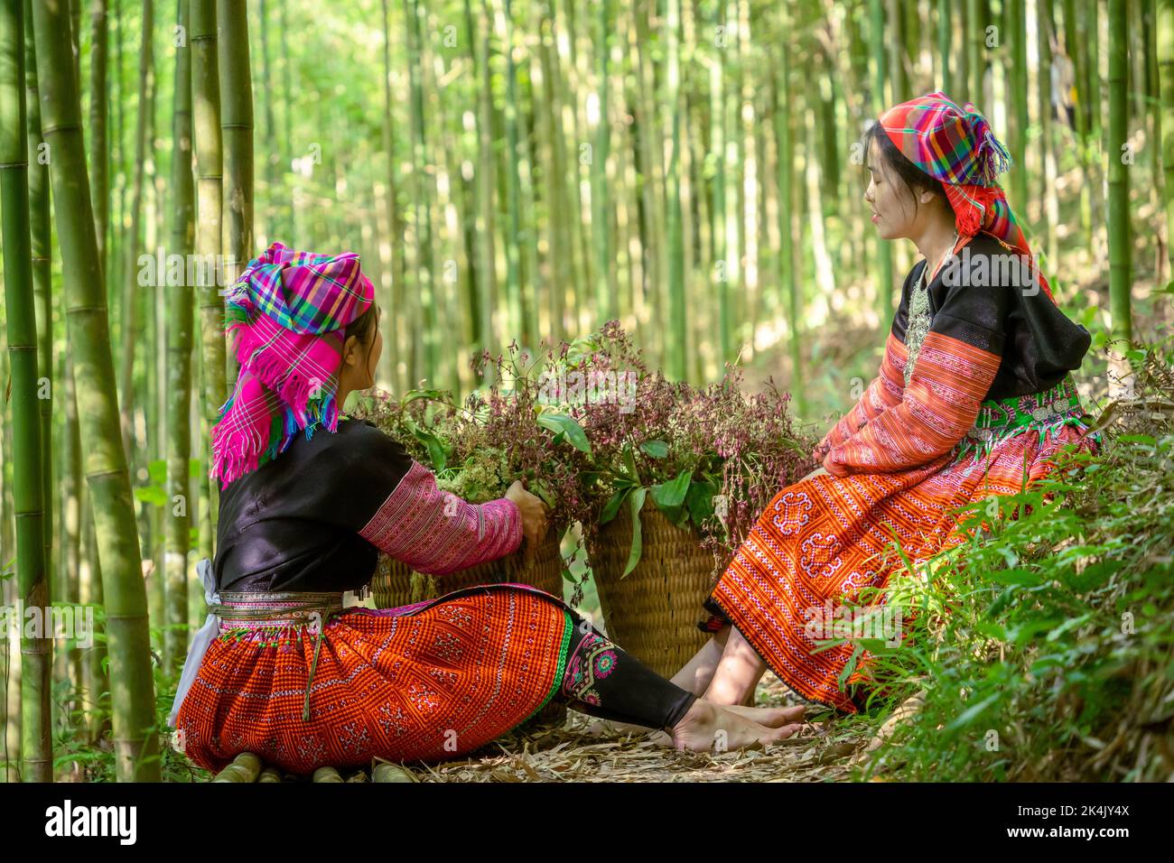 People H'mong ethnic minority with colorful costume dress walking in ...