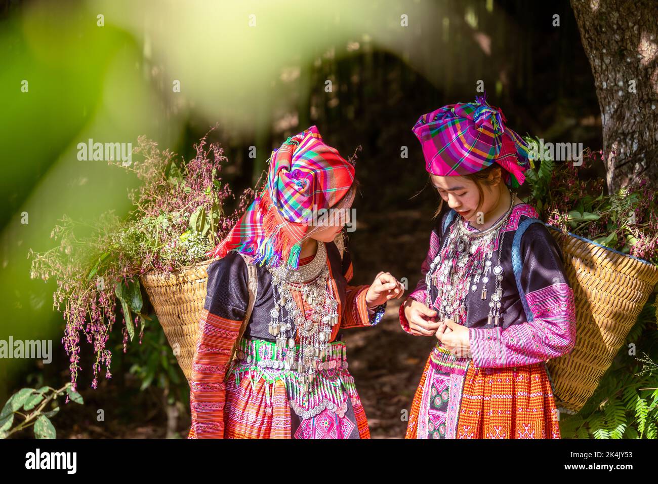 People H'mong ethnic minority with colorful costume dress walking in ...