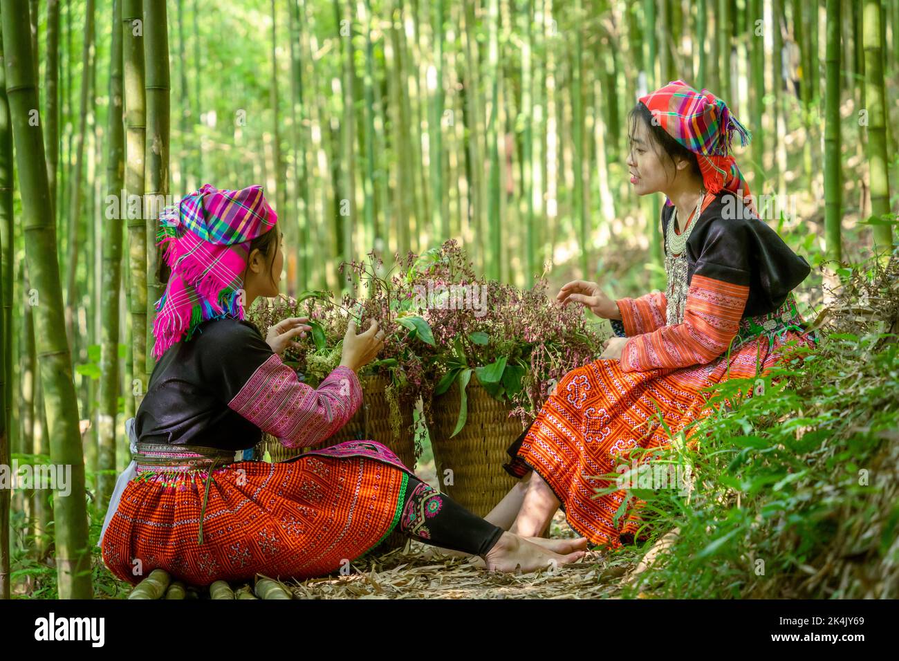 People H'mong ethnic minority with colorful costume dress walking in ...