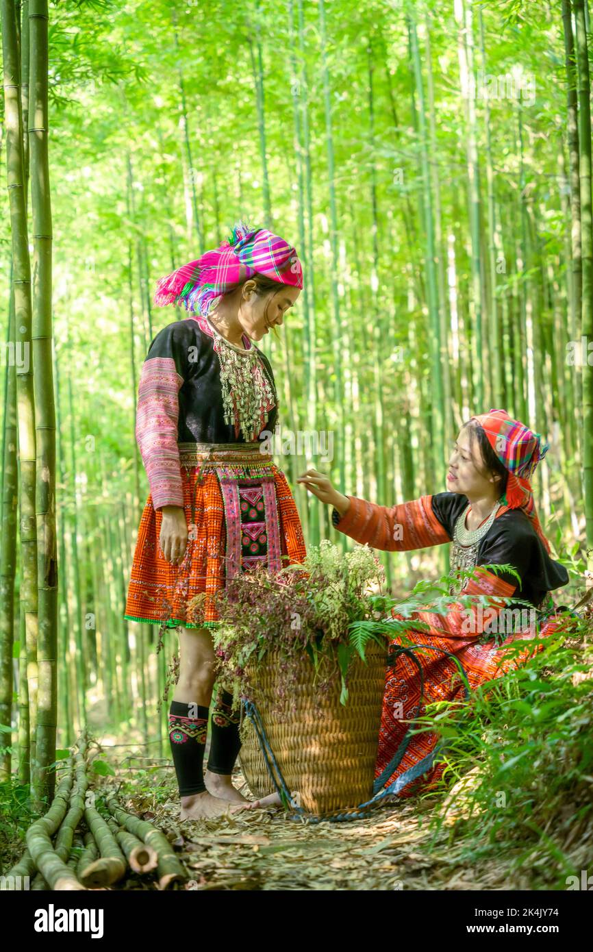 People H'mong ethnic minority with colorful costume dress walking in ...