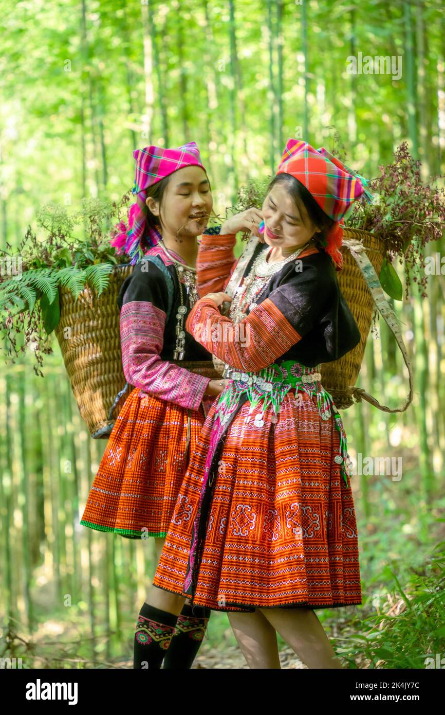 People H'mong ethnic minority with colorful costume dress walking in ...