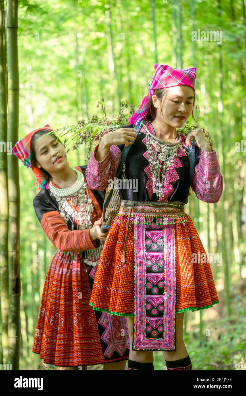 People H'mong ethnic minority with colorful costume dress walking in ...