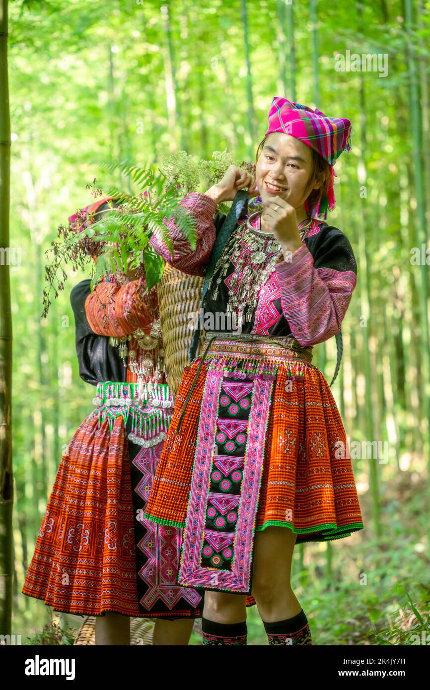 People H'mong ethnic minority with colorful costume dress walking in ...