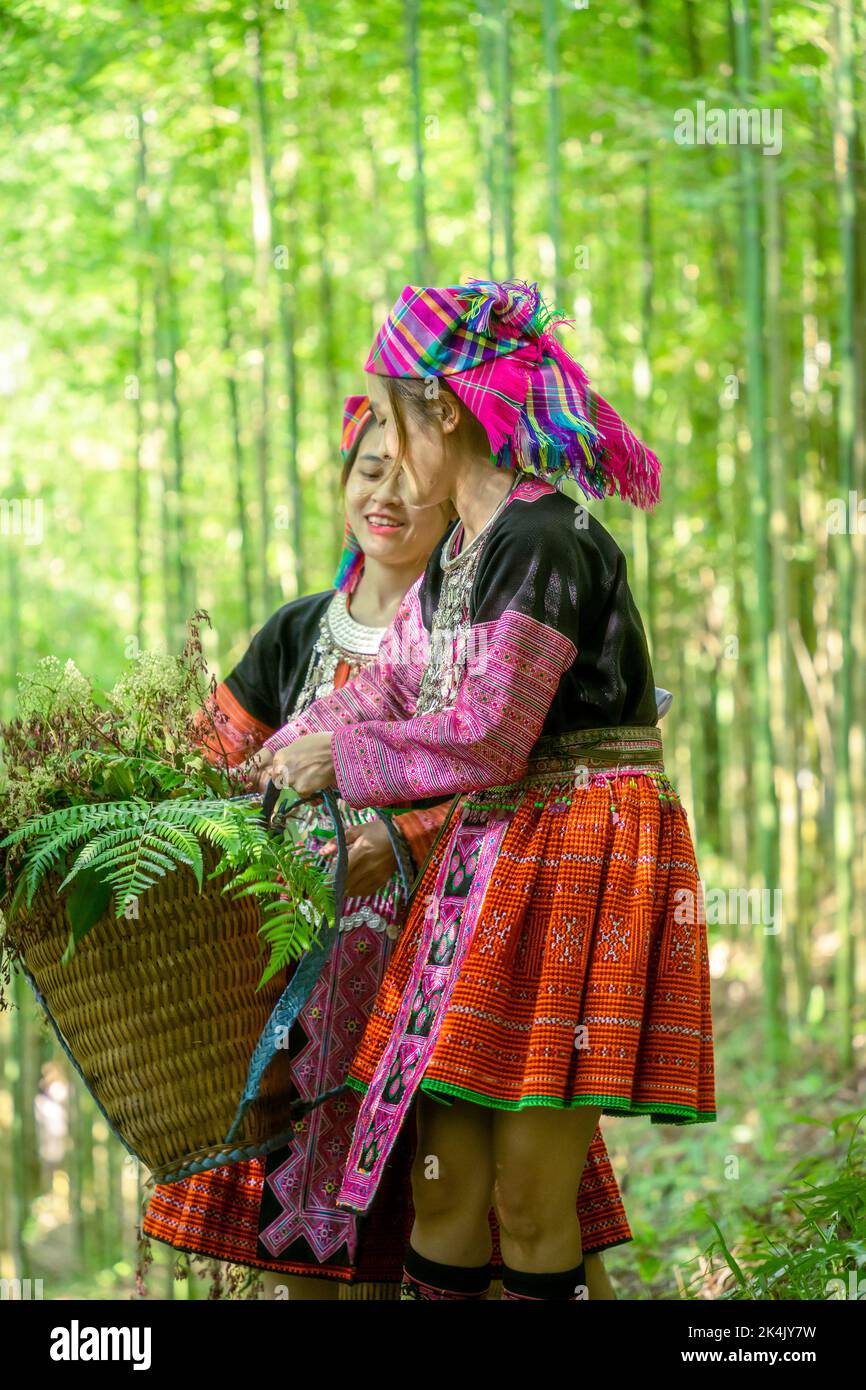 People H'mong ethnic minority with colorful costume dress walking in ...