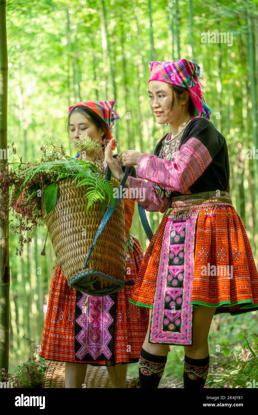 People H'mong ethnic minority with colorful costume dress walking in ...