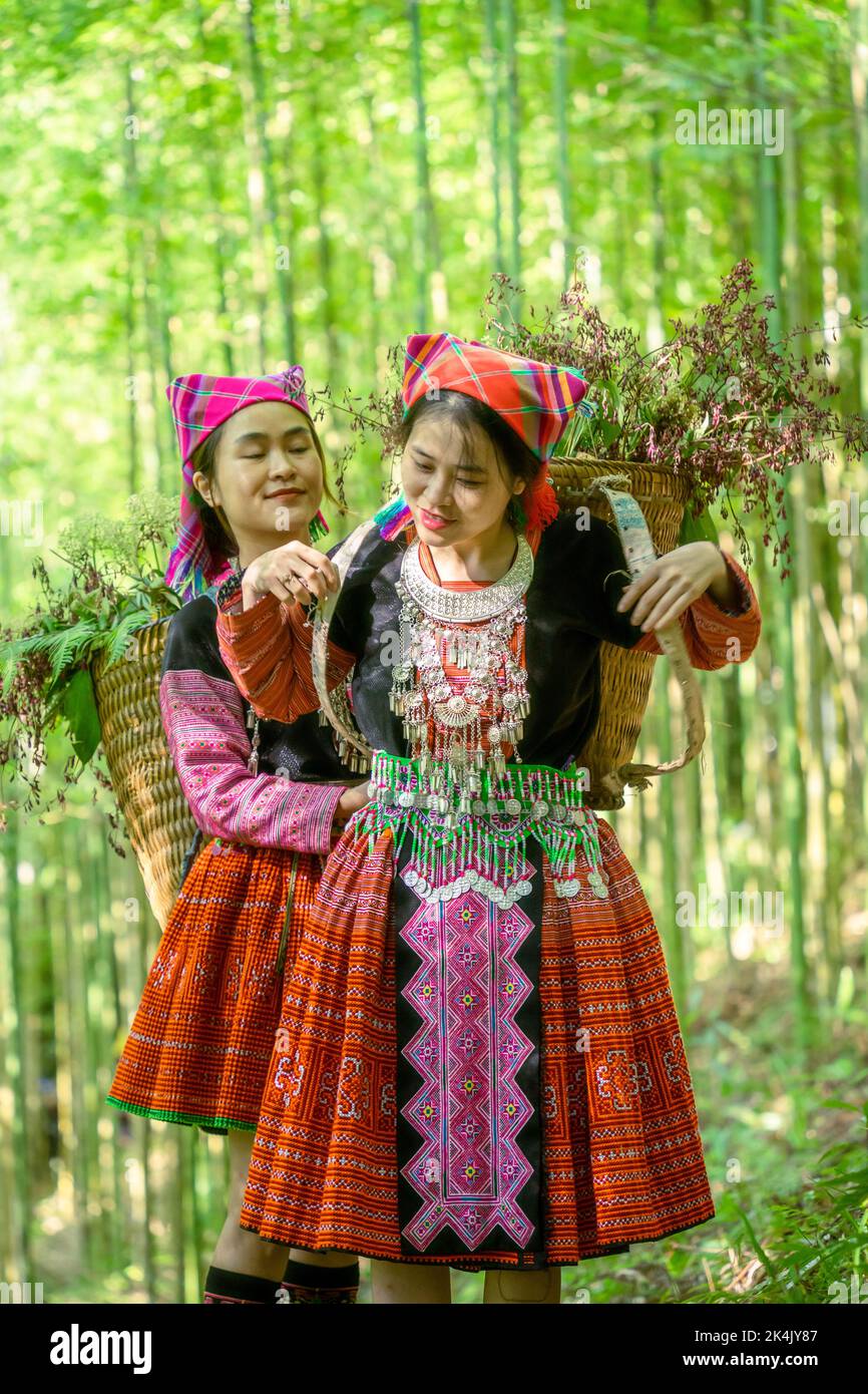 People H'mong ethnic minority with colorful costume dress walking in ...