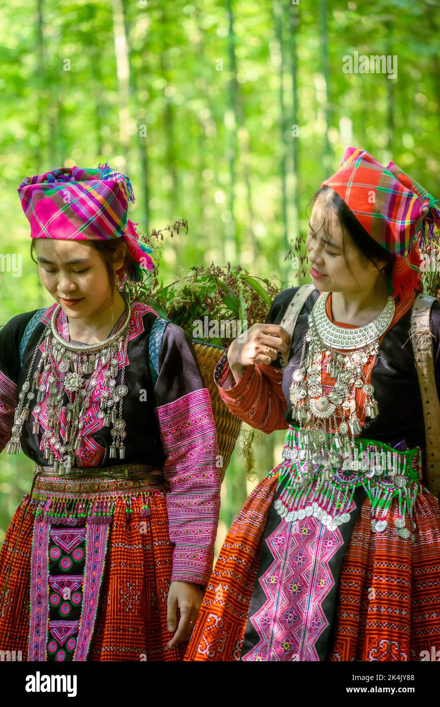 People H'mong ethnic minority with colorful costume dress walking in ...
