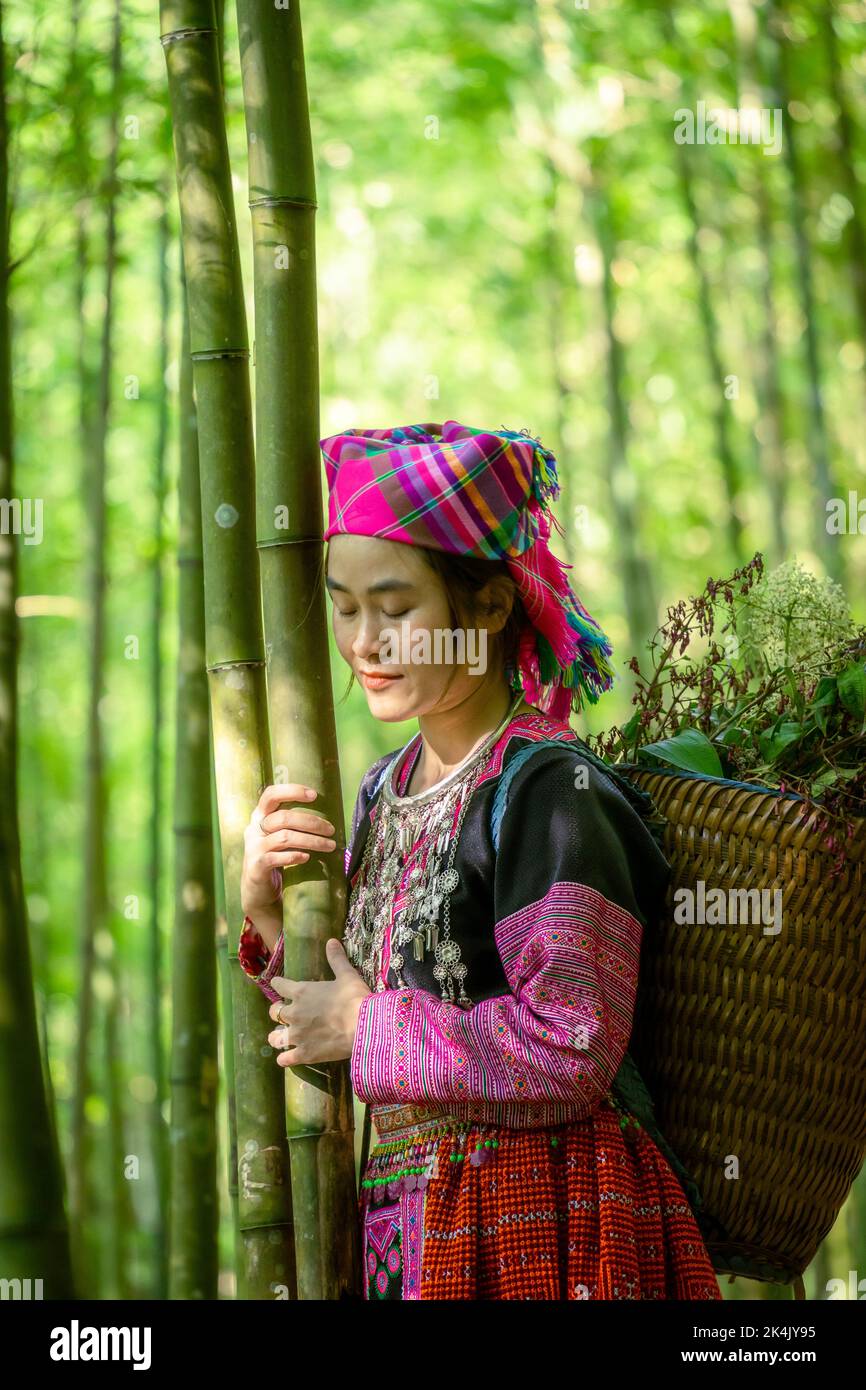 People H'mong ethnic minority with colorful costume dress walking in ...