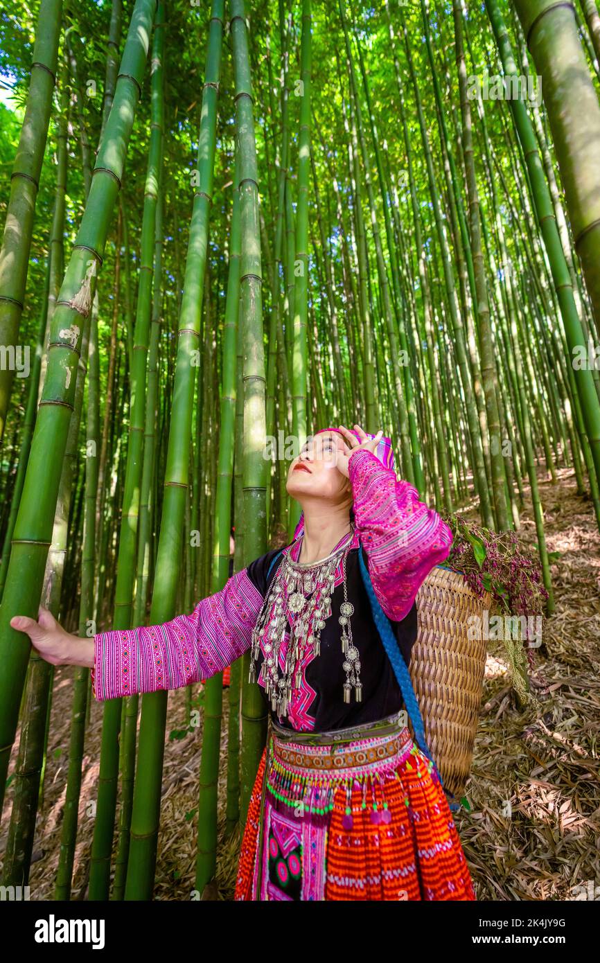 People H'mong ethnic minority with colorful costume dress walking in ...