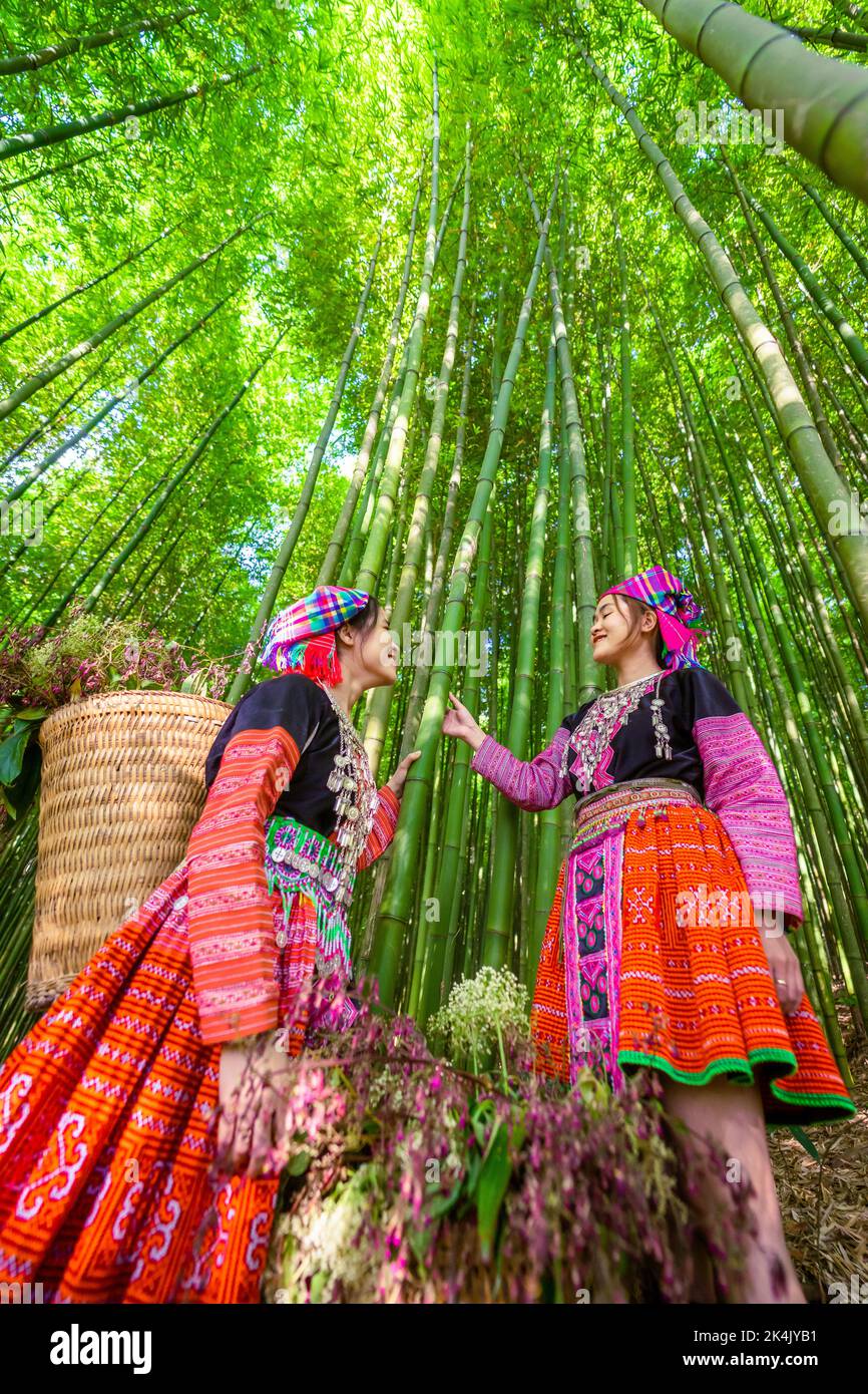 People H'mong ethnic minority with colorful costume dress walking in ...