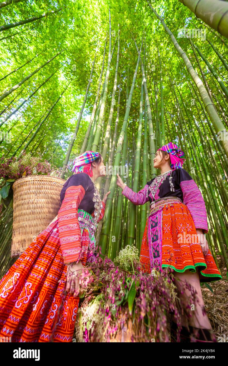 People H'mong ethnic minority with colorful costume dress walking in ...