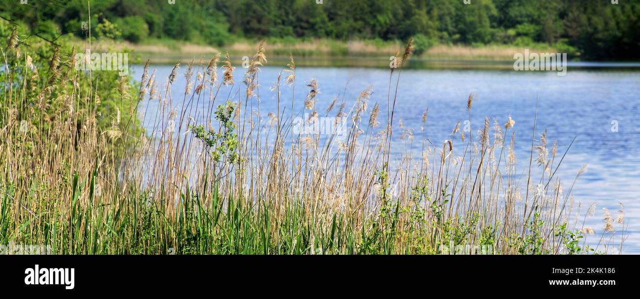 Am see entspannen hi-res stock photography and images - Alamy