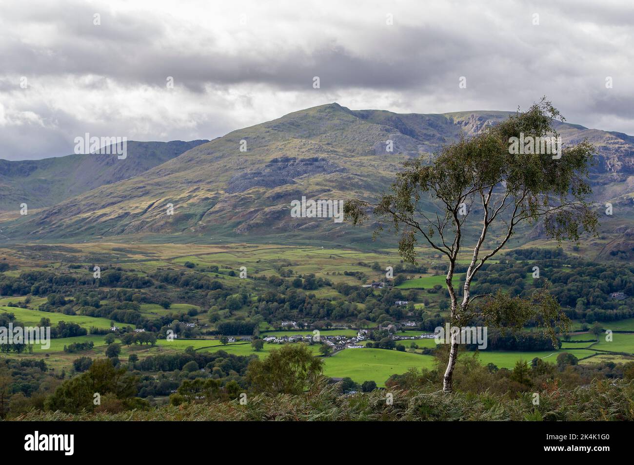 The Old Man of Coniston fell, viewed from Crag Head above Coniston ...