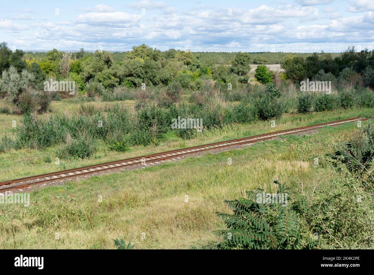 Railroad through the valley. Railroad tracks going through the bush ...