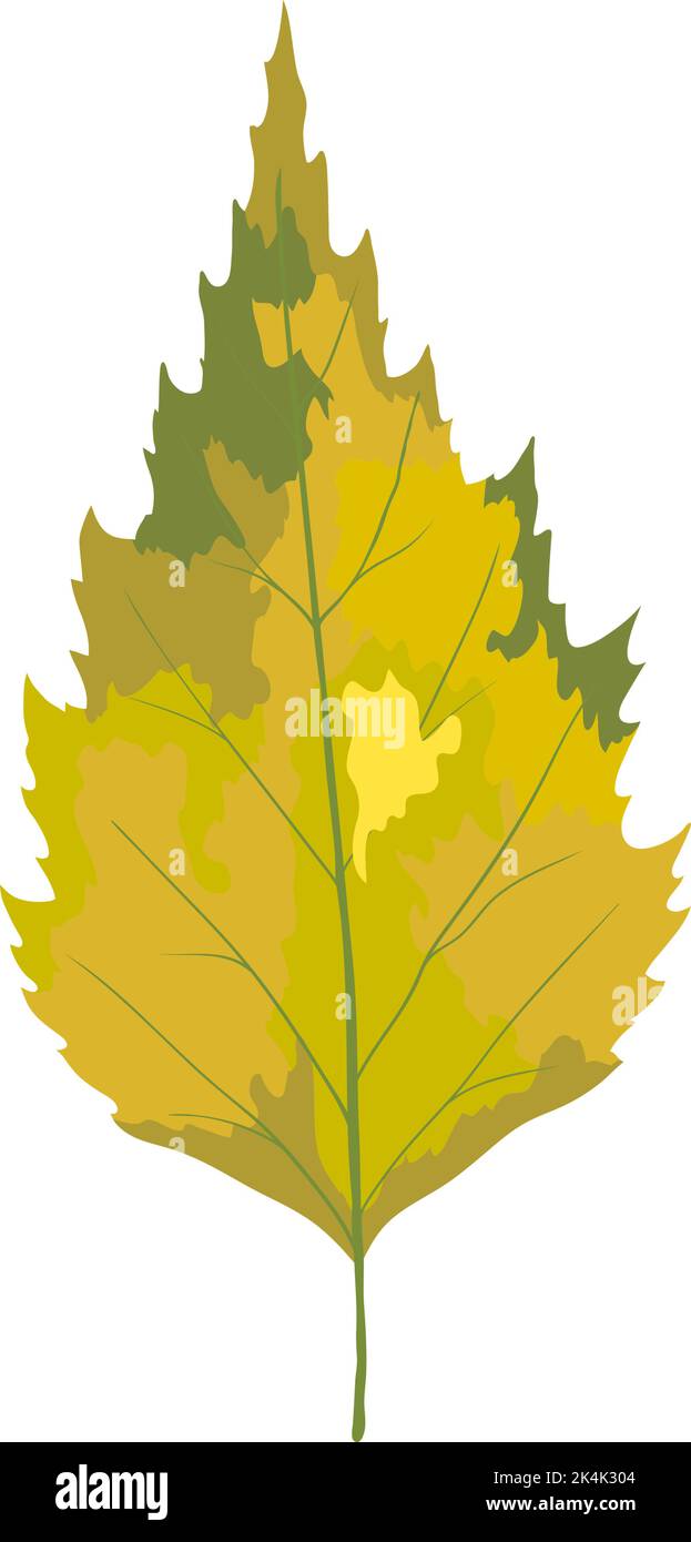 Autumn birch tree leaf. Leaf fall. Vector illustration Stock Vector ...