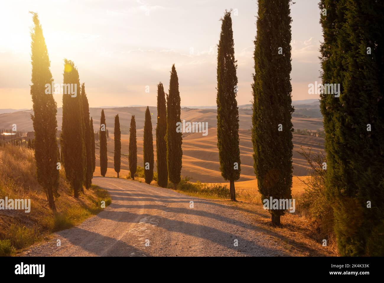 Road with cypresses in Tuscany, Italy in summer. Famous landmark ...