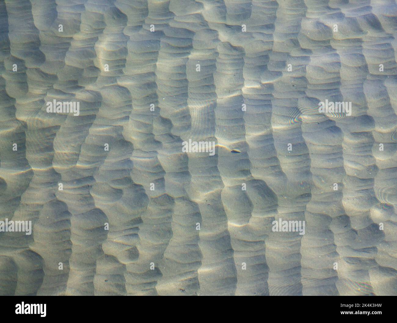 Sandy Seabed or Sea Floor seen through clear sea water with sunlight ...