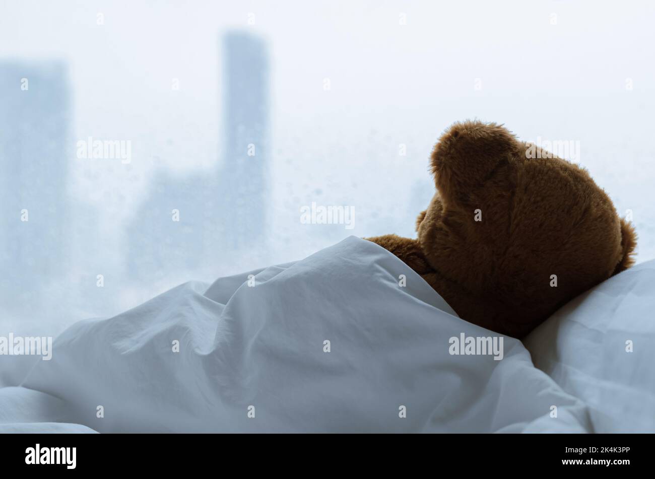 Teddy bear sleeping alone on bed with white pillow and blanket facing ...