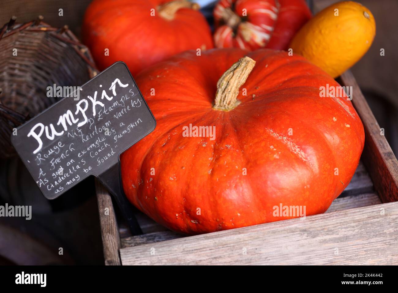 Pumpkins pictured on display at the Weald & Downland Living Museum ...