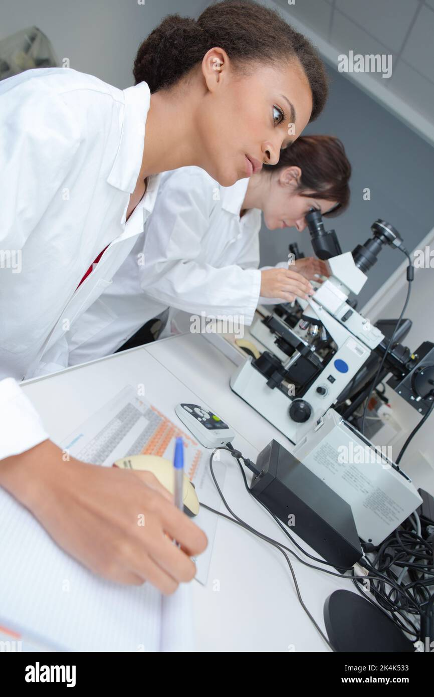 medical scientist in the lab Stock Photo - Alamy