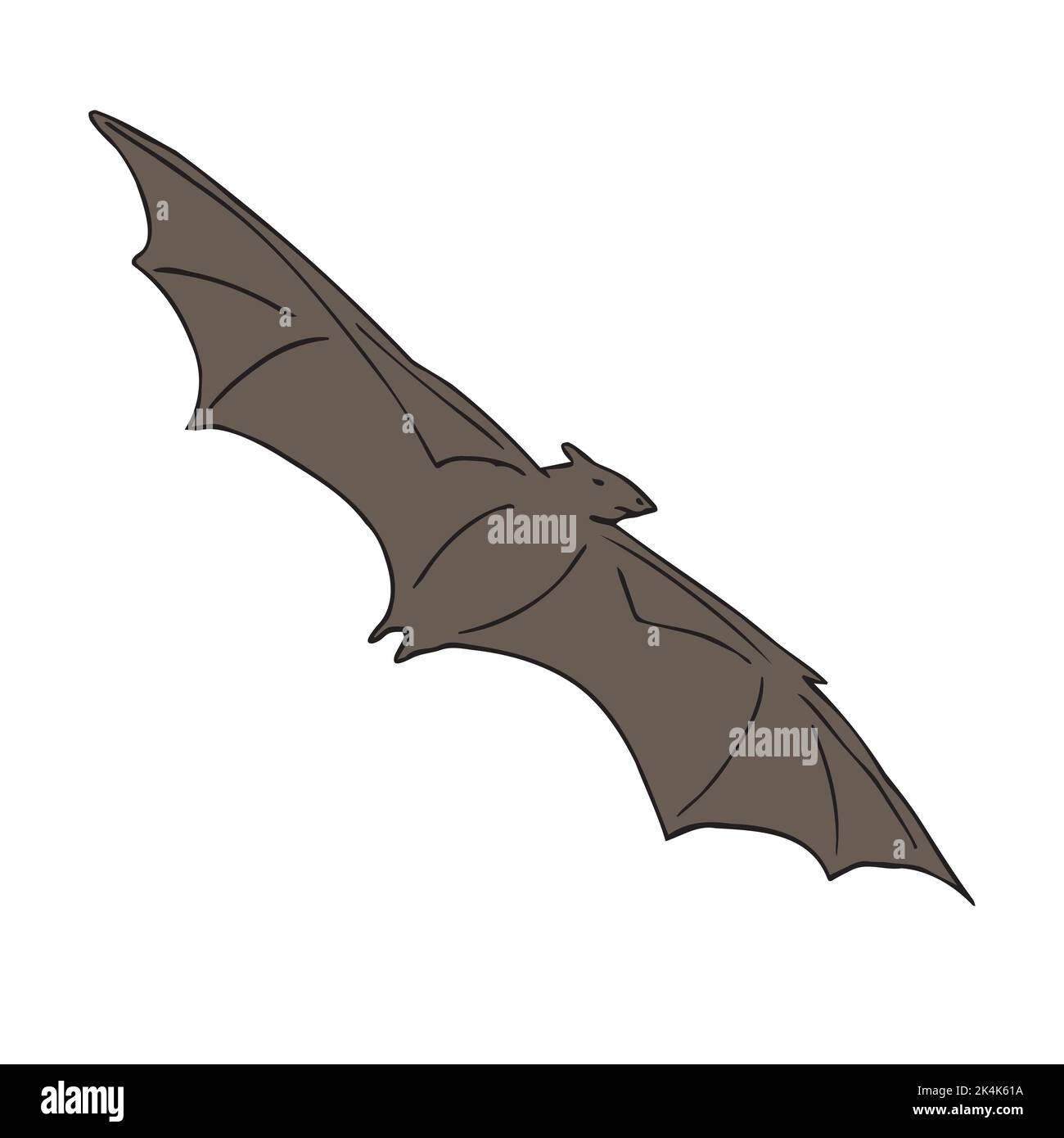 Vector hand drawn doodle sketch colored flying bat isolated on white ...