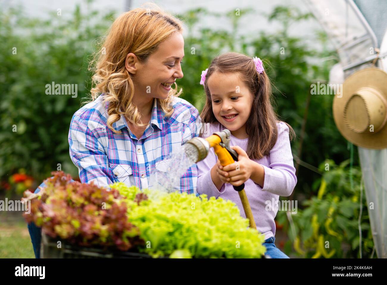 Happy family working in organic greenhouse. Woman and child growing bio ...
