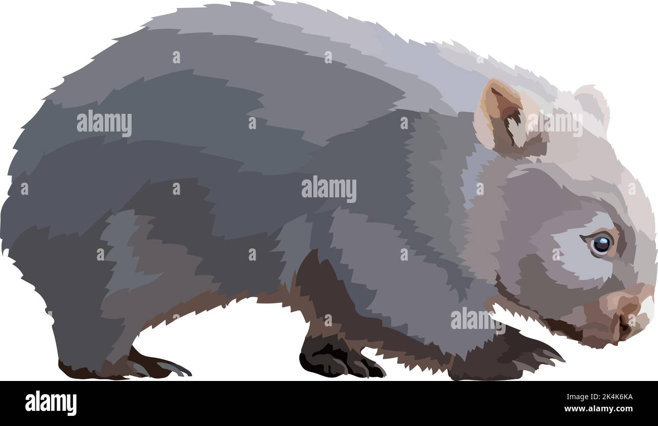 Wombat hole Stock Vector Images - Alamy