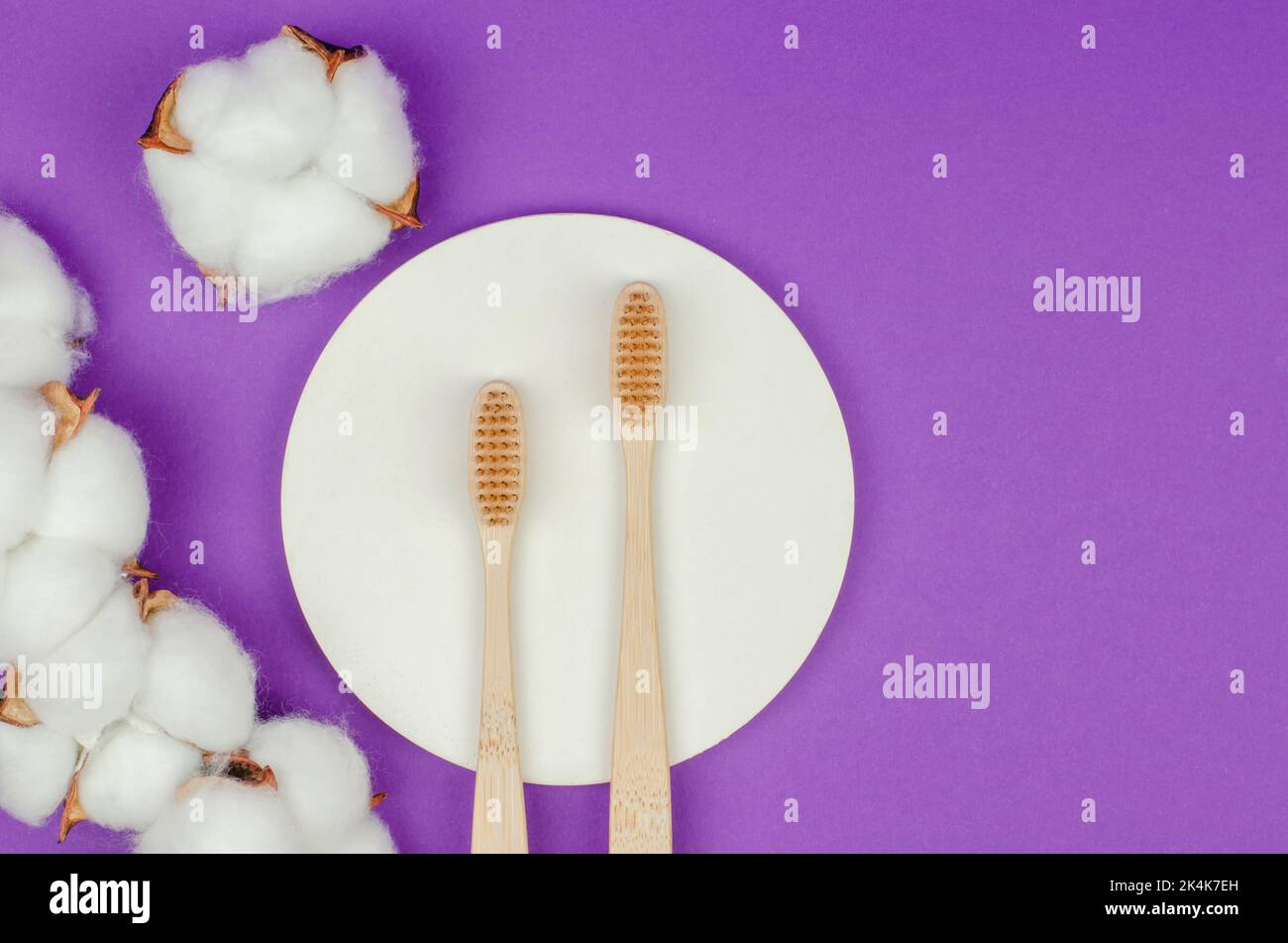 Two wooden toothbrushes and cotton flowers on a purple background ...
