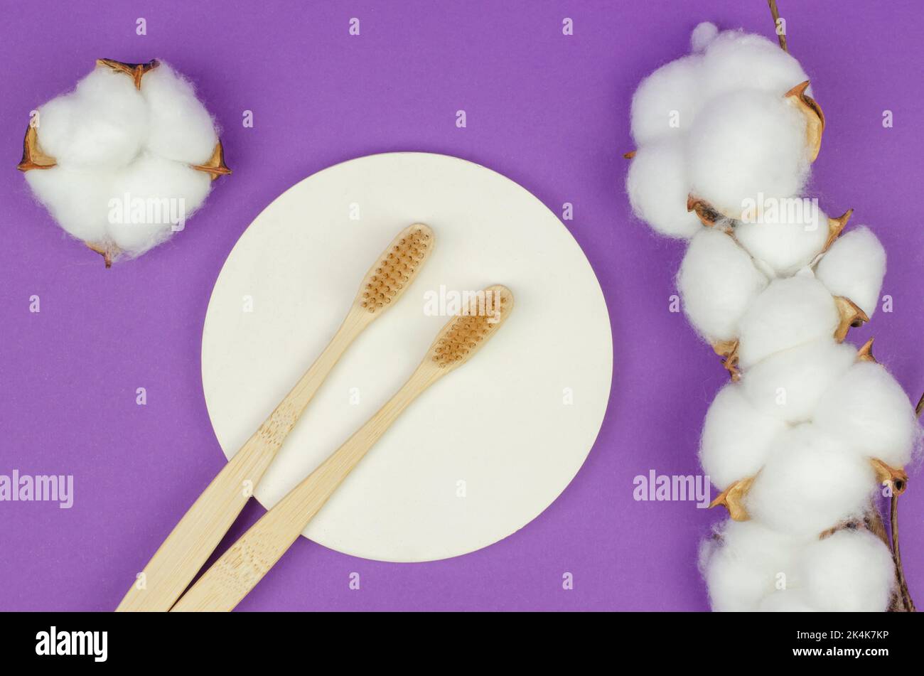 Two wooden toothbrushes and cotton flowers on a purple background ...