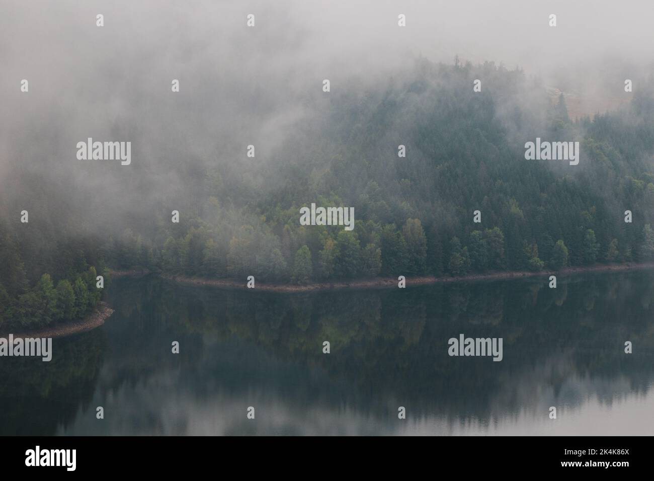 Rainy and foggy morning at the Sance Dam. Reflection of deciduous ...