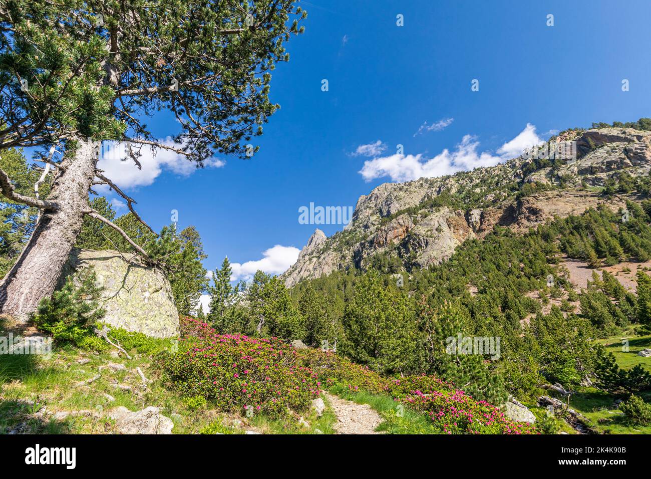 Route to Remuñe Ibón (lake), Gorge of Remuñe, Natural Park of Posets ...