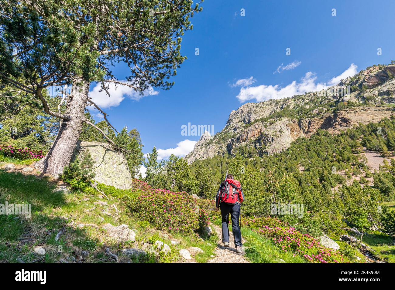 Route to Remuñe Ibón (lake), Gorge of Remuñe, Natural Park of Posets ...