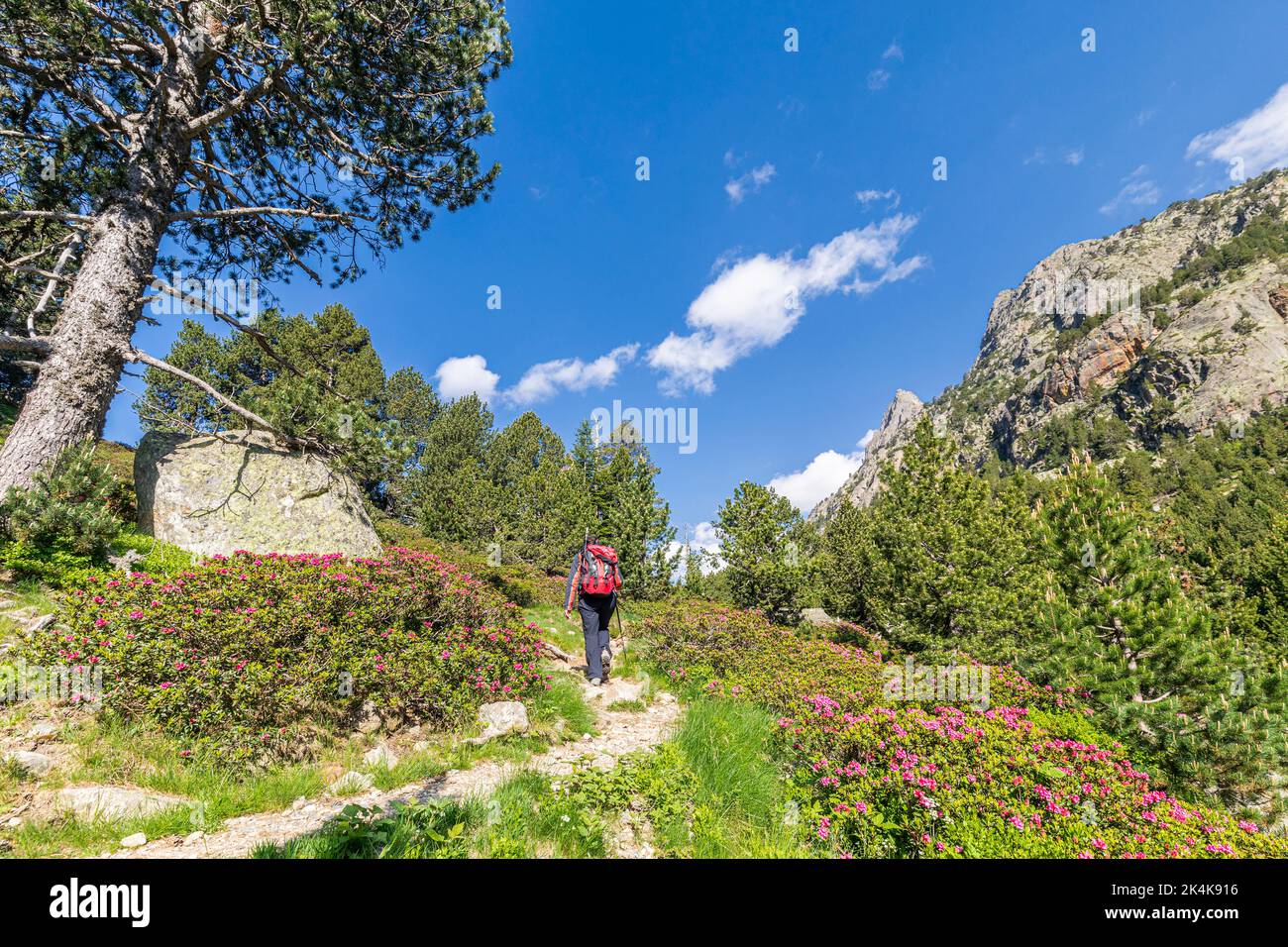 Route to Remuñe Ibón (lake), Gorge of Remuñe, Natural Park of Posets ...