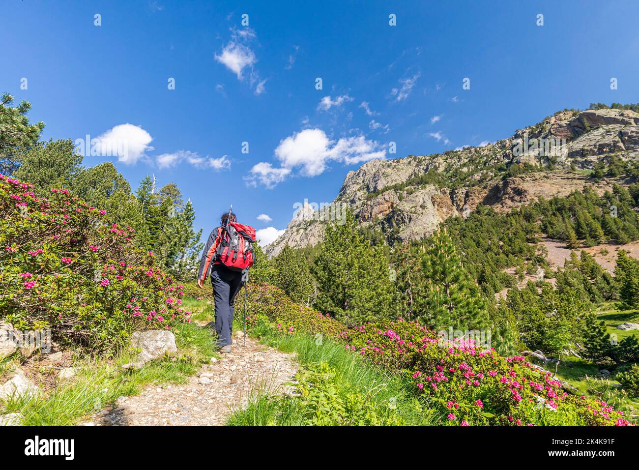 Route to Remuñe Ibón (lake), Gorge of Remuñe, Natural Park of Posets ...