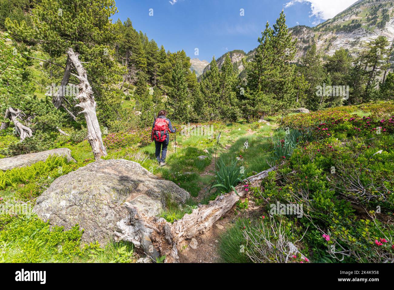 Route to Remuñe Ibón (lake), Gorge of Remuñe, Natural Park of Posets ...