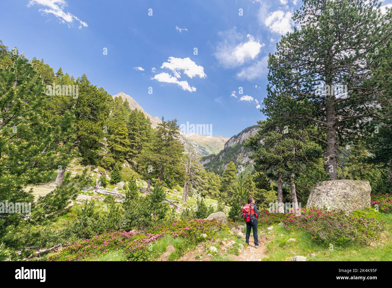 Route to Remuñe Ibón (lake), Gorge of Remuñe, Natural Park of Posets ...