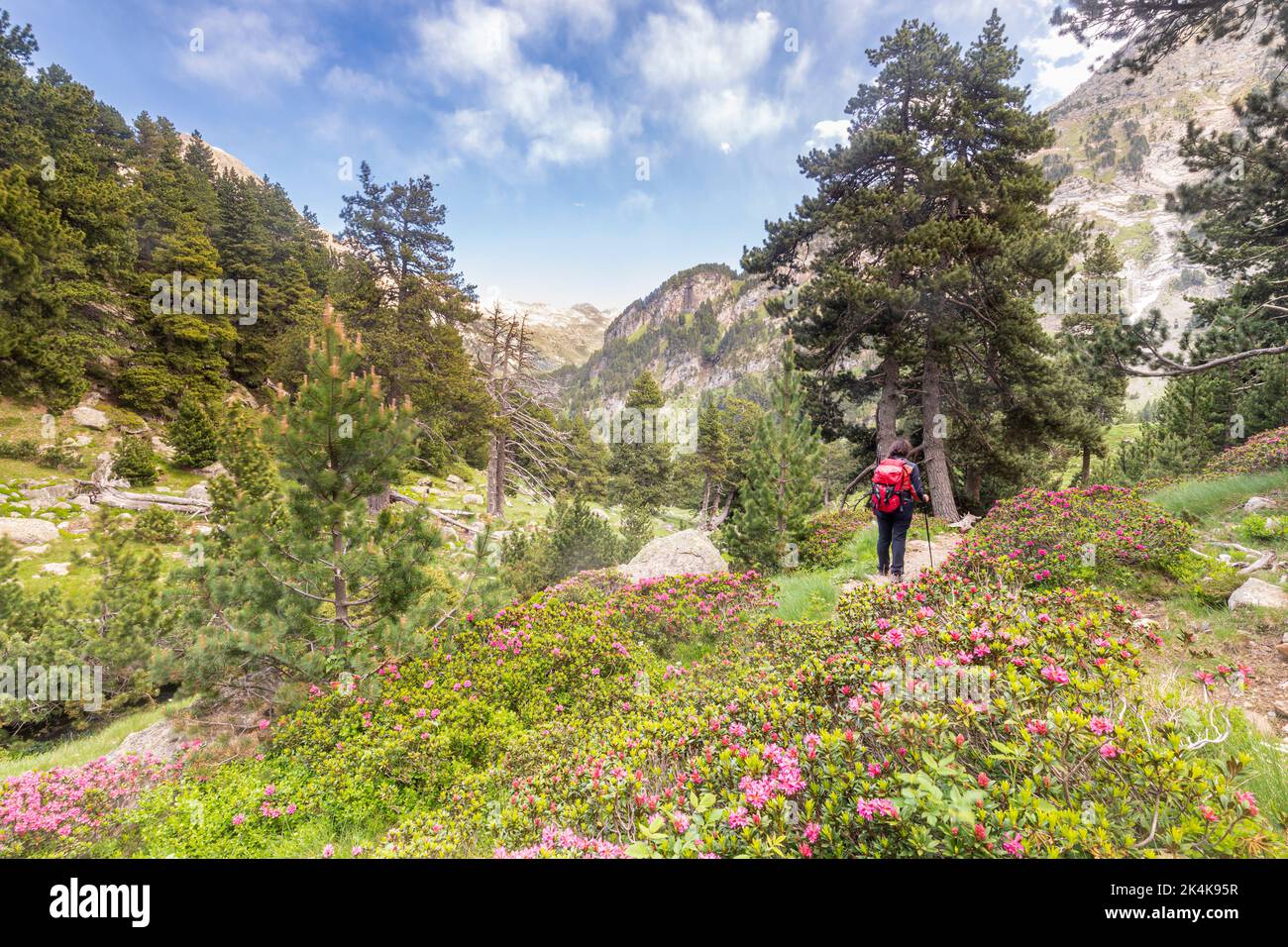 Route to Remuñe Ibón (lake), Gorge of Remuñe, Natural Park of Posets ...