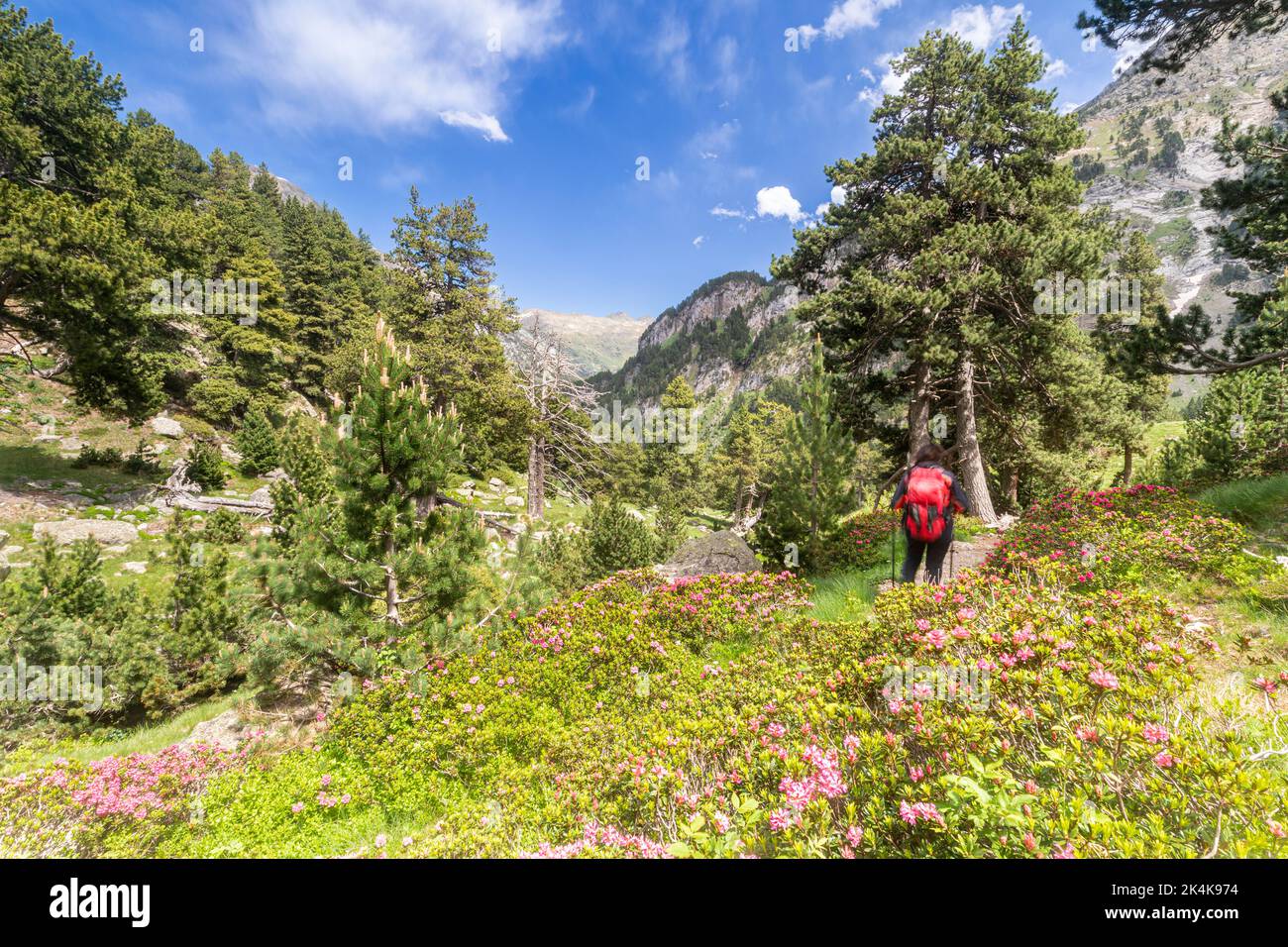 Route to Remuñe Ibón (lake), Gorge of Remuñe, Natural Park of Posets ...