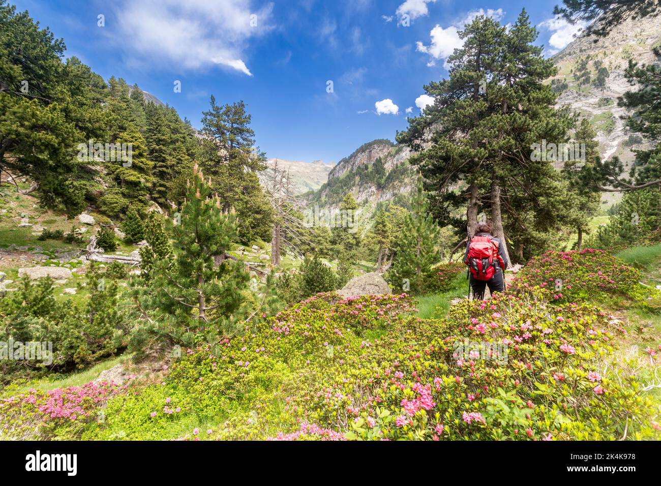 Route to Remuñe Ibón (lake), Gorge of Remuñe, Natural Park of Posets ...