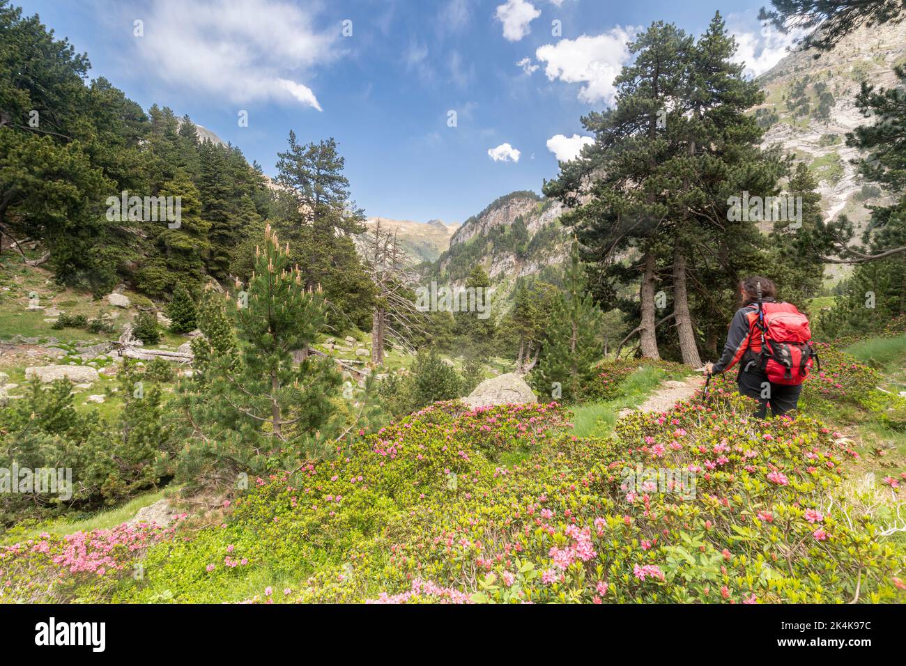 Route to Remuñe Ibón (lake), Gorge of Remuñe, Natural Park of Posets ...