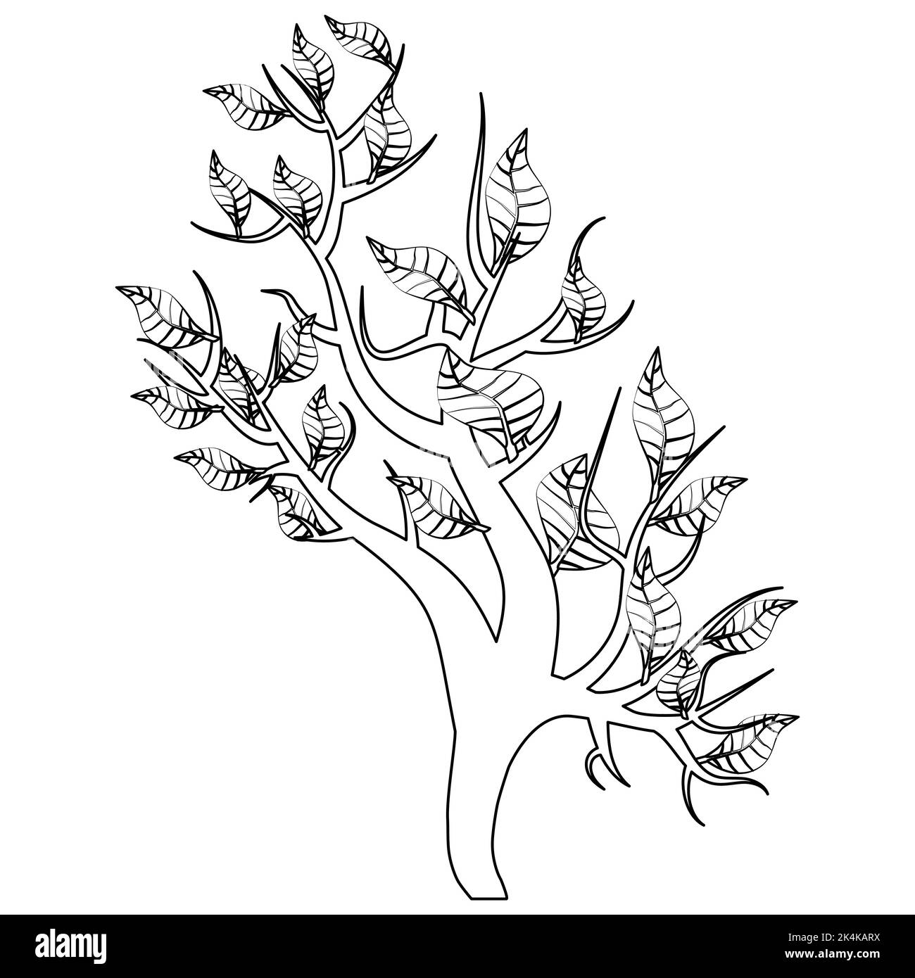 Young sapling tree growing Black and White Stock Photos & Images - Alamy