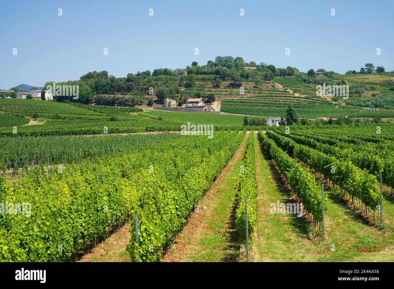Rural landscape on the Colli Euganei, in Padua province, Veneto, Italy ...
