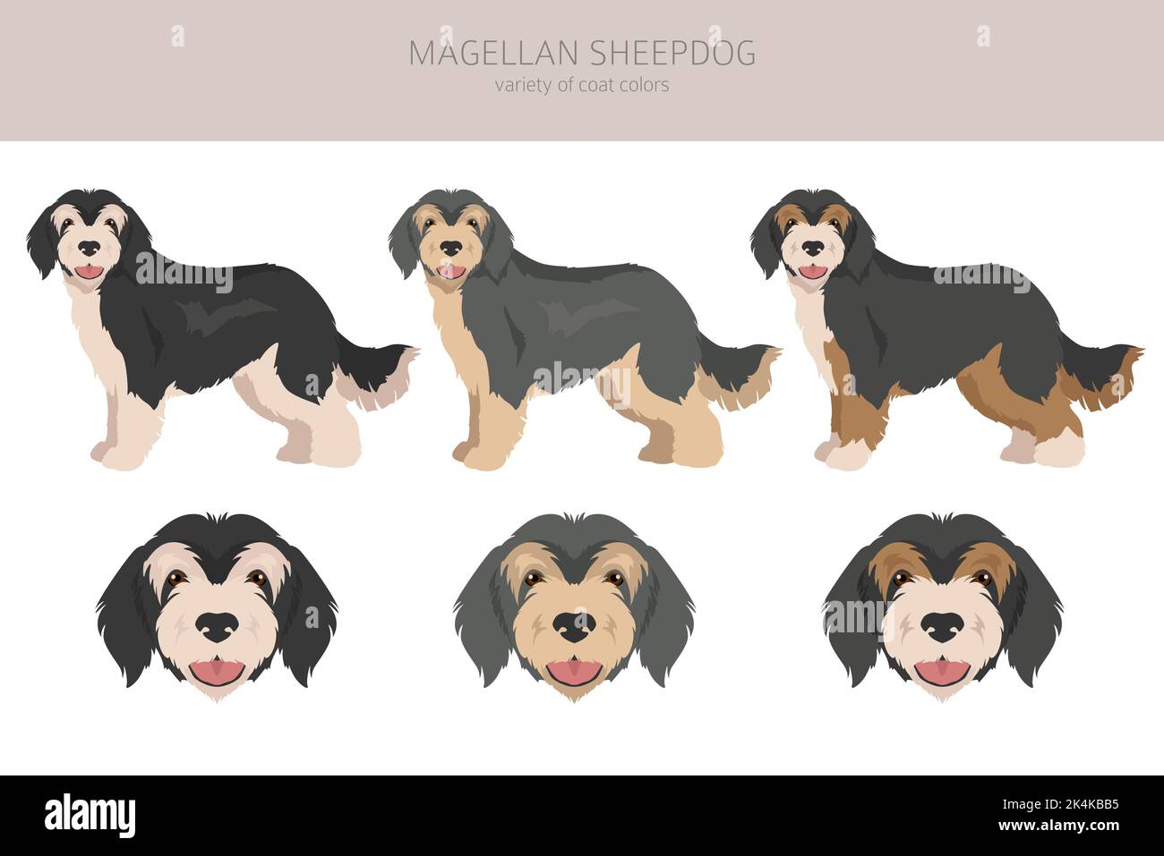 Magellan Sheepdog clipart. All coat colors set. All dog breeds ...