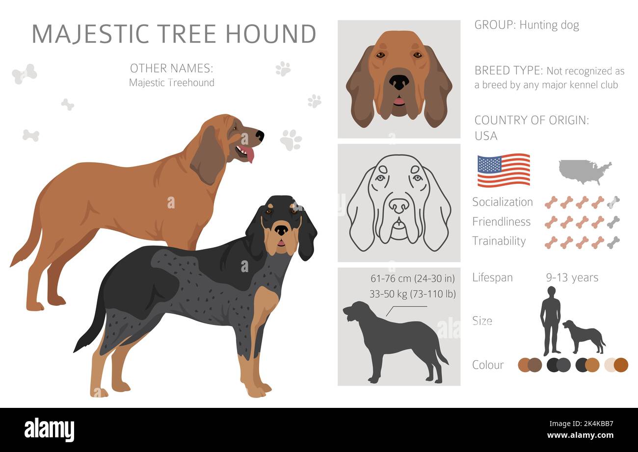 Majestic tree hound clipart. All coat colors set. All dog breeds ...