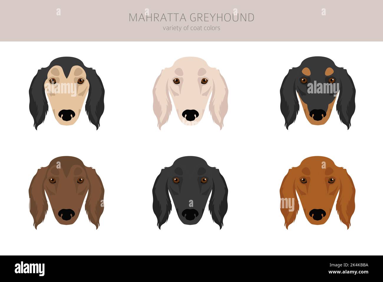 Mahratta Greyhound