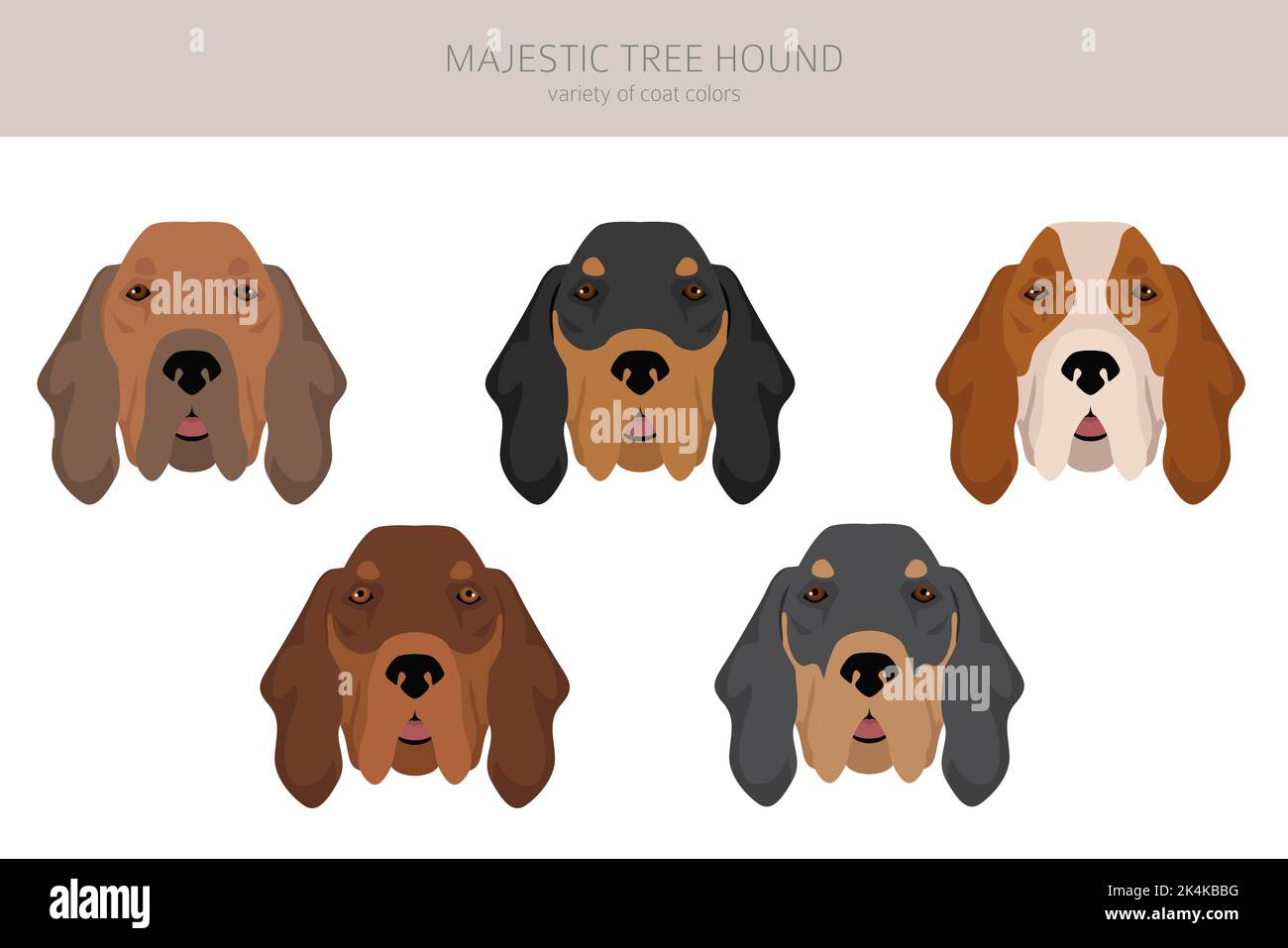 Majestic tree hound clipart. All coat colors set. All dog breeds ...